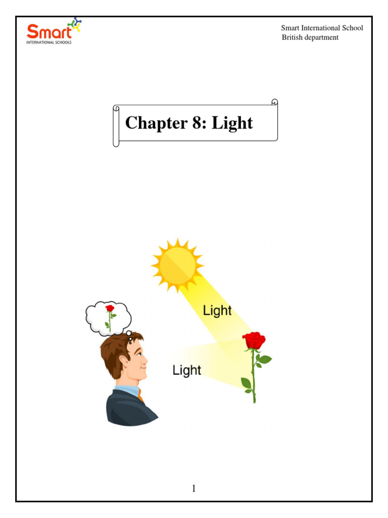 Chapter 8 Light | Download Free PDF | Light | Mirror