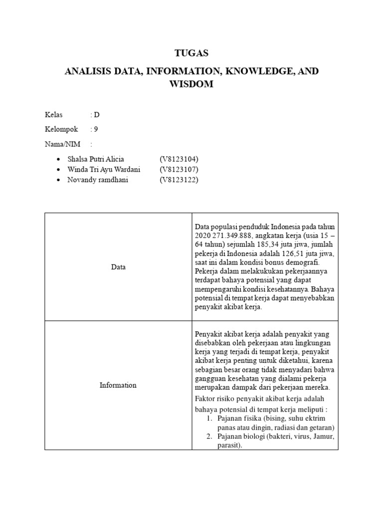 DIKW LDTI Kelompok 6 | PDF