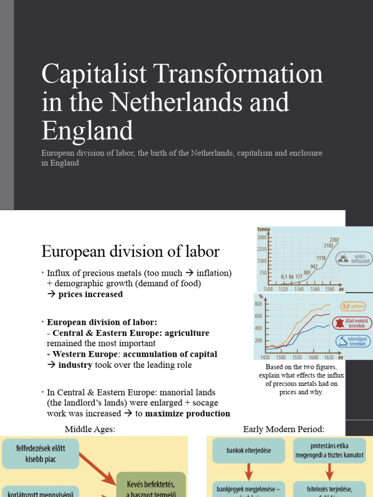 2 Capitalist Transformation in The Netherlands and England 3 | PDF ...