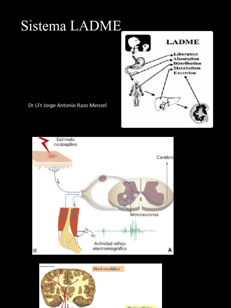 Sistema LADME | PDF | Medicamentos con receta | Química medicinal