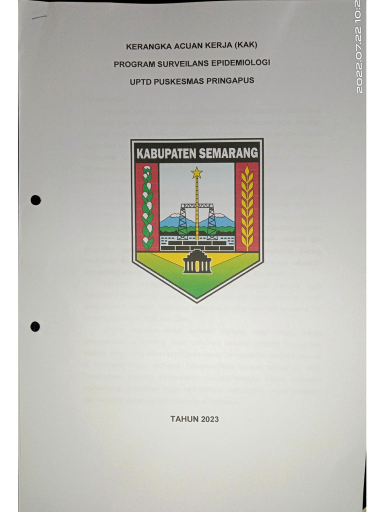 KAK Program Surveilans Epidemiologi | PDF
