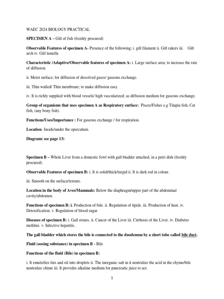 Waec 2024 Biology Practical | PDF | Vertebra | Vertebral Column