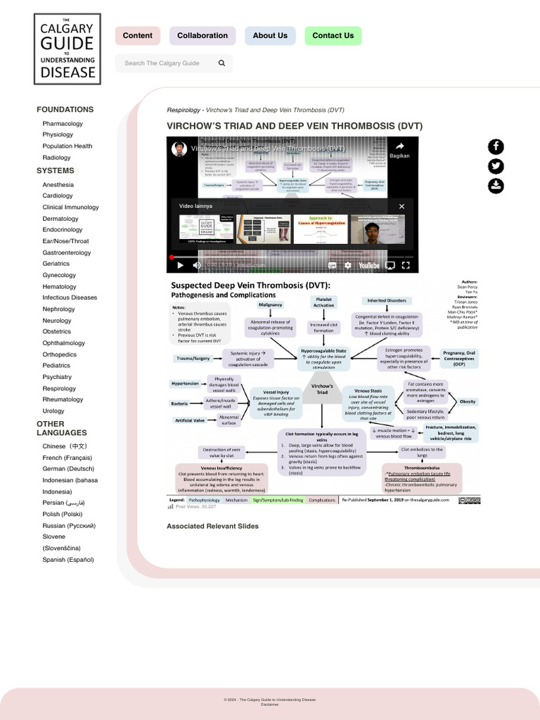 Virchow's Triad and Deep Vein Thrombosis (DVT) Calgary Guide | PDF