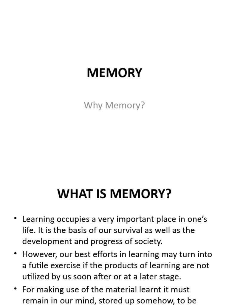 Memory 1 Pdf Long Term Memory Memory