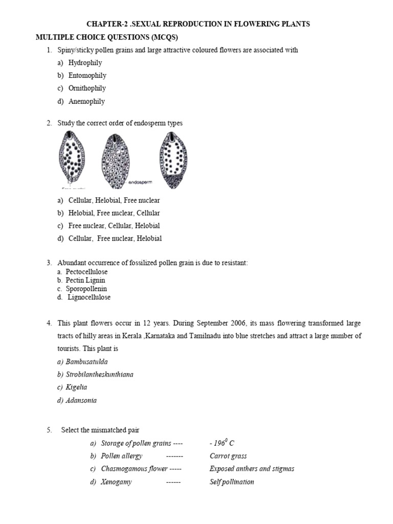 MCQs on Sexual Reproduction in Plants | PDF | Flowers | Fertilisation