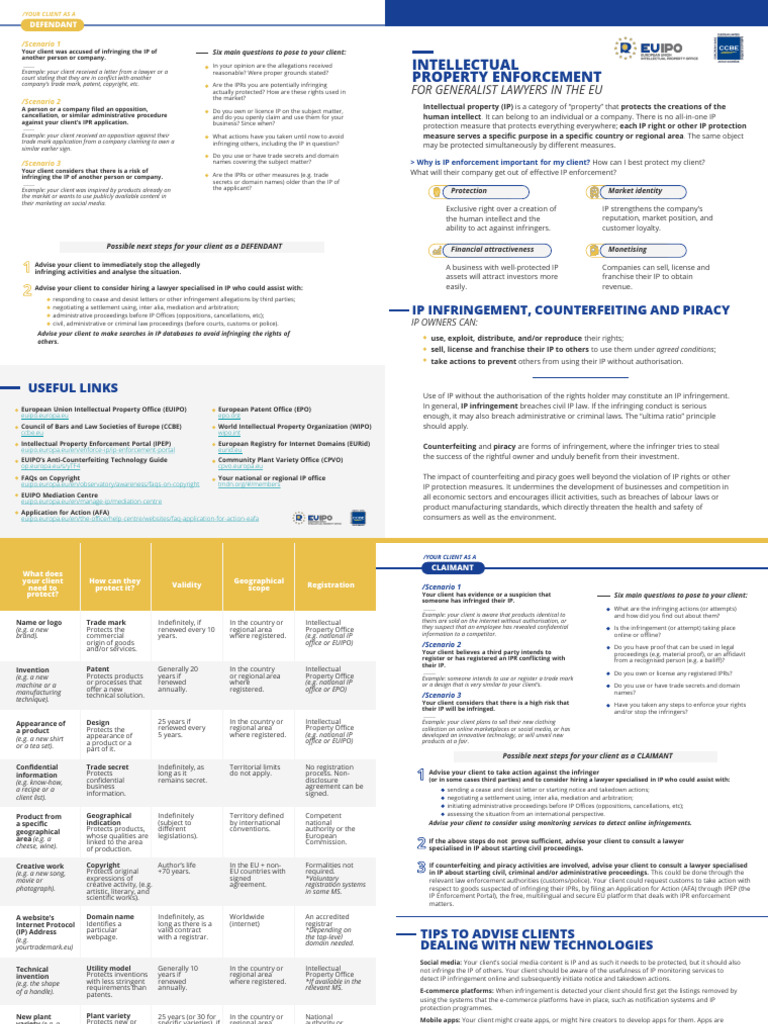 2024 EUIPO CCBE IP Enforcement For Generalist Lawyers Printable Booklet ...
