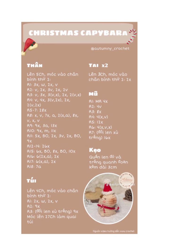 Christmas Capybara | PDF