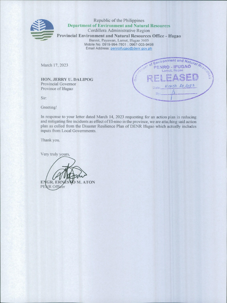 DENR Action Plan | PDF