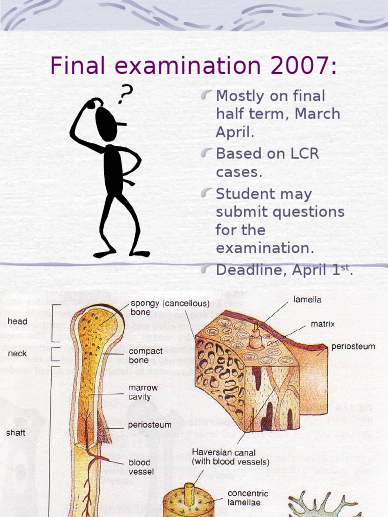 NM 23 Bone 2007 | PDF | Bone | Osteoporosis