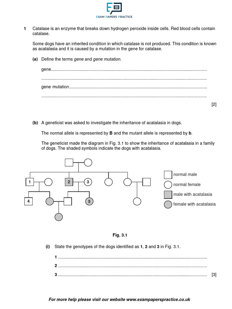 Topic Questions Chromosomes Genes and Proteins | PDF | Genetics | Genotype