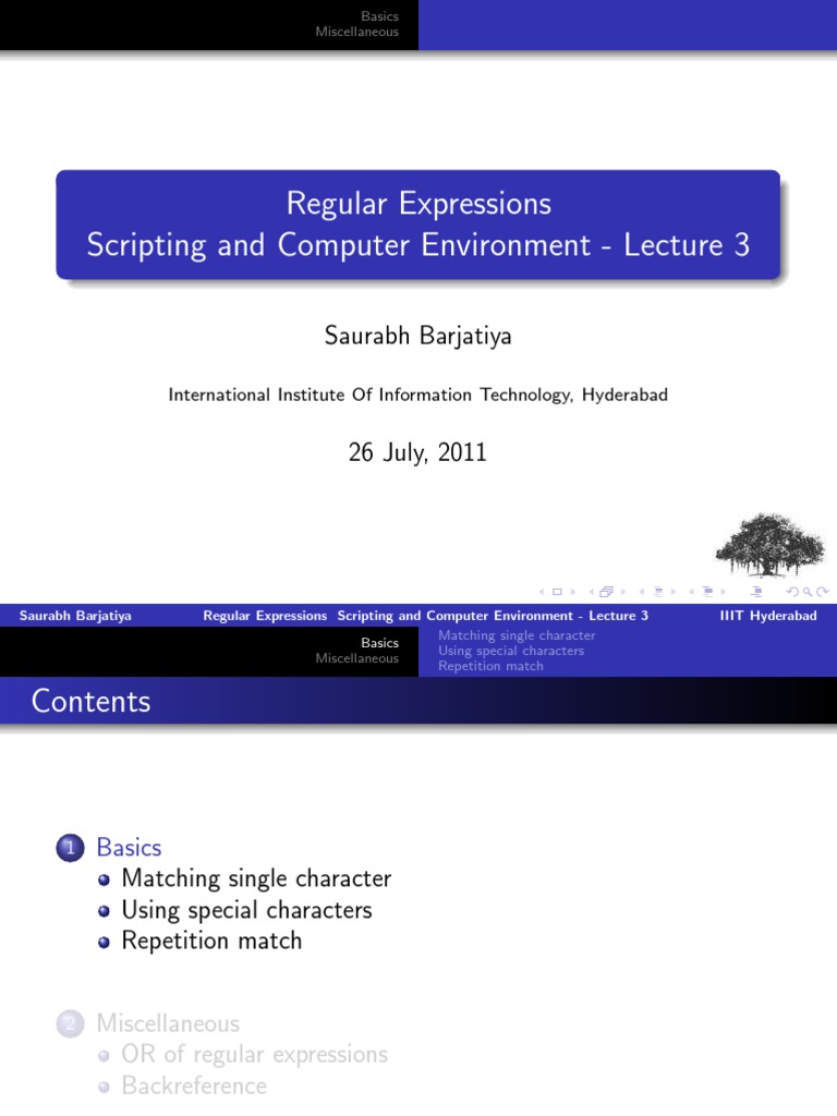 03 Regular Expressions | PDF | Regular Expression | Letter Case