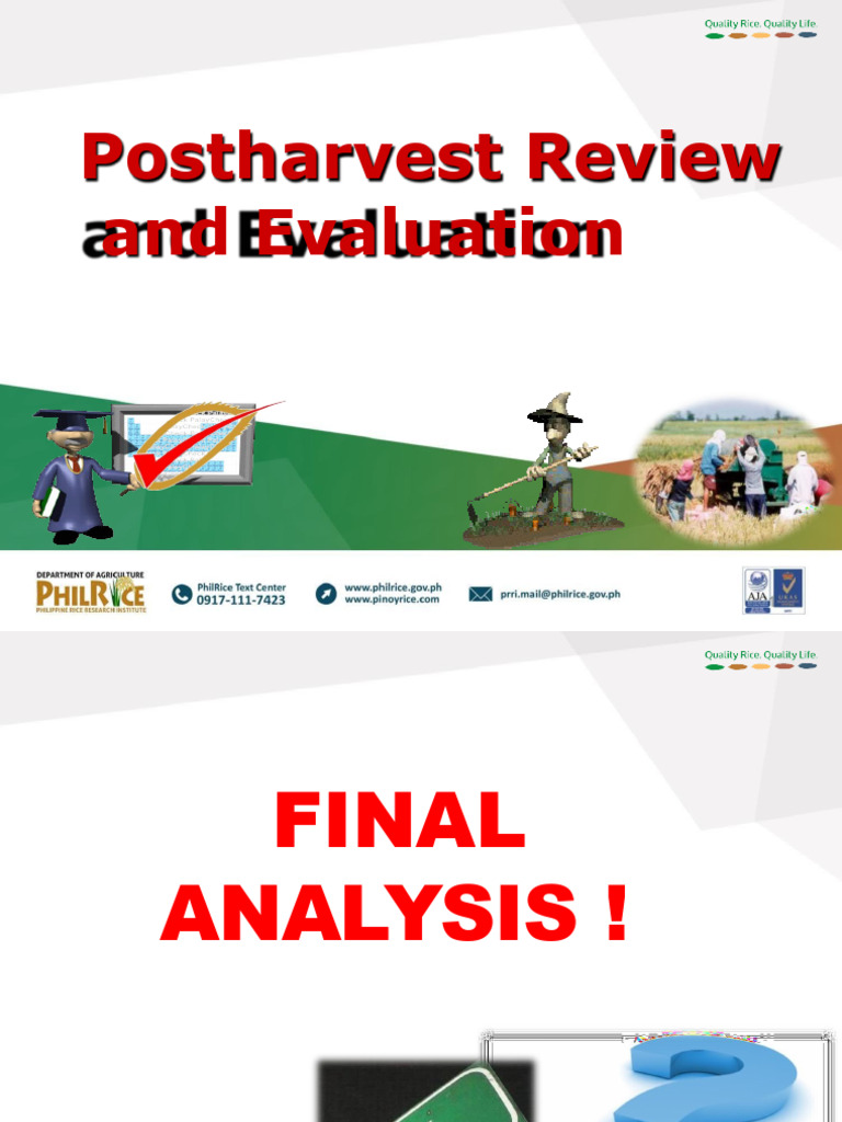 Conducting Final Analysis | PDF | Harvest | Crop Yield