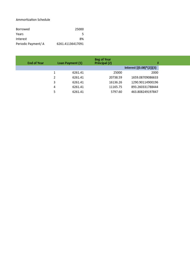 5-Year Amortization Schedule Example | PDF