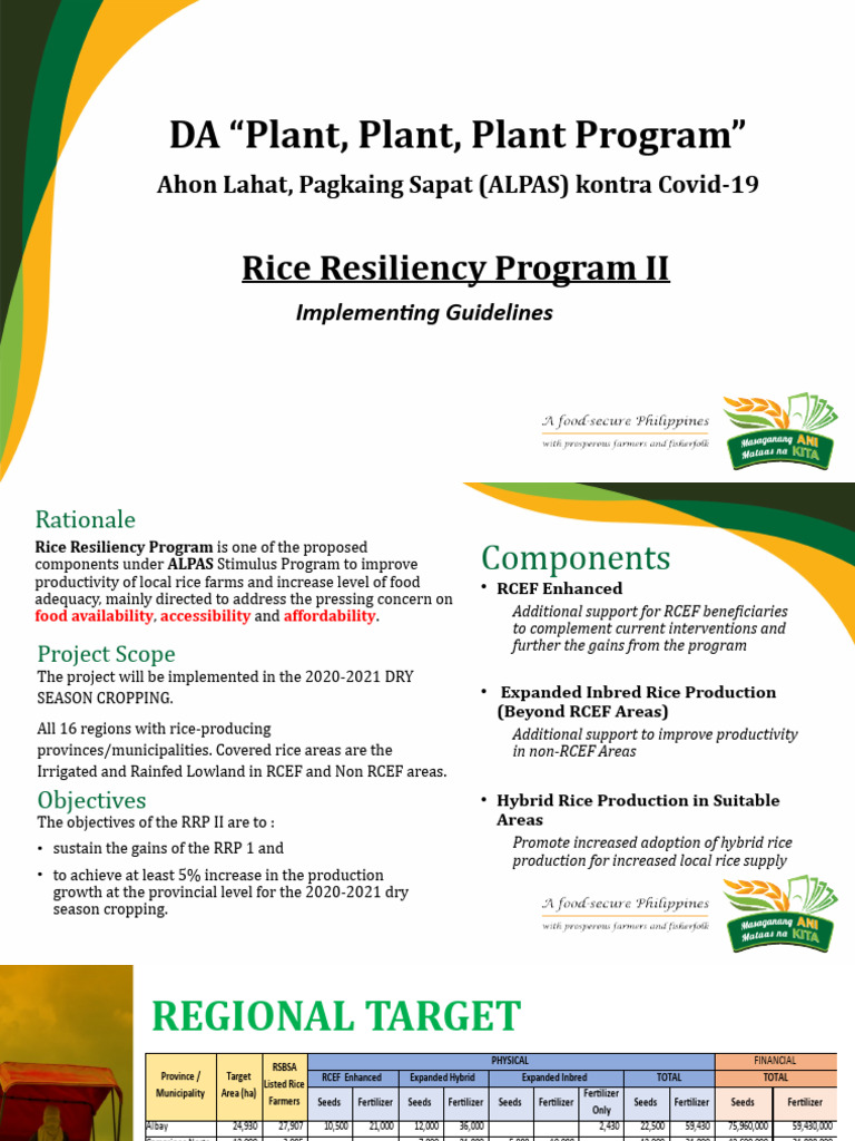 RRP II - Presentation | PDF