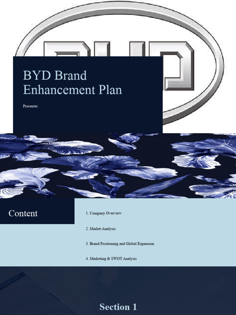 BYD Brand Enhancement Plan | PDF | Innovation | Brand