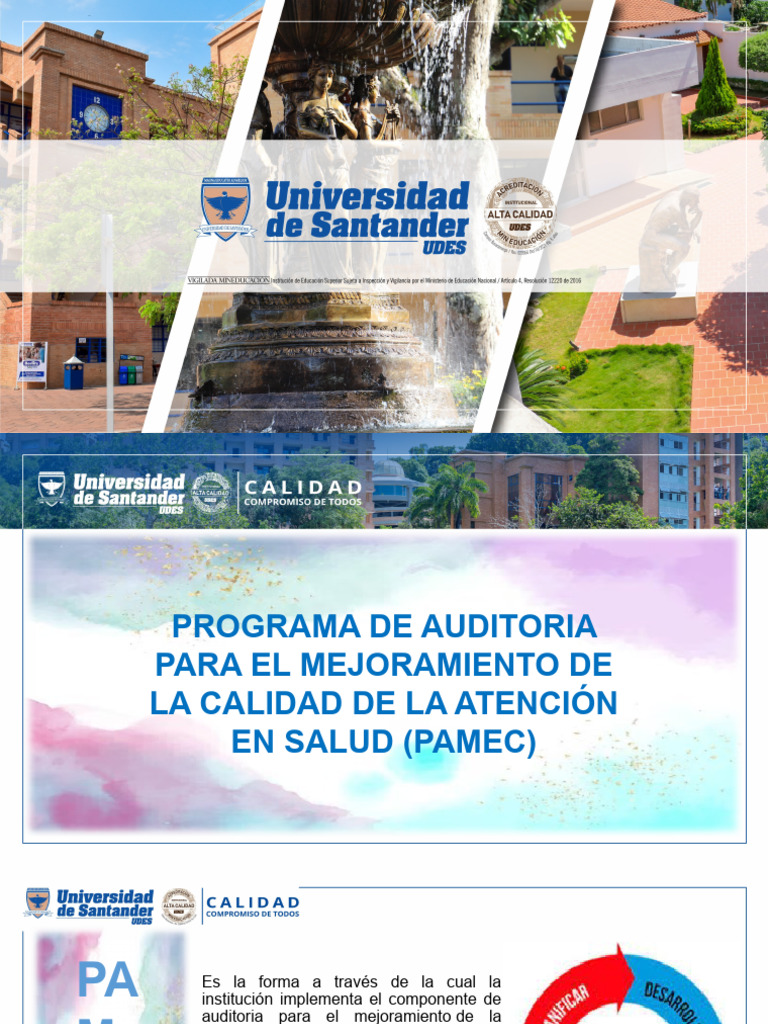 PAMEC: Mejora Continua en Salud | PDF | Evaluación | Auditoría