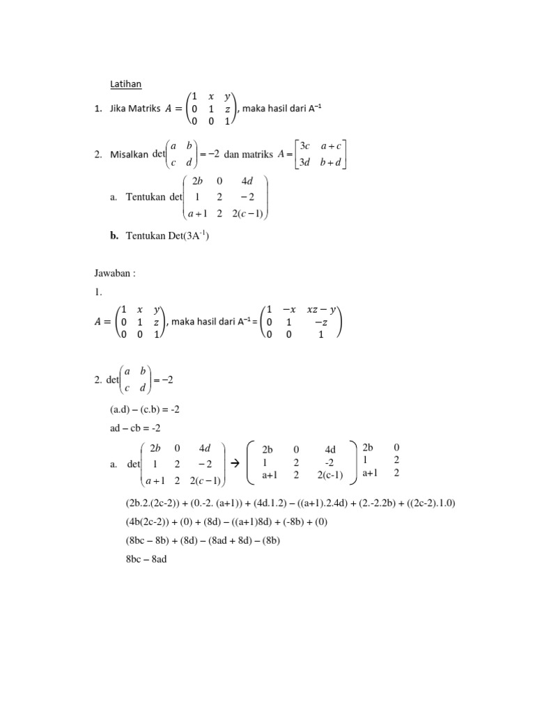 Matrix Inversion and Determinant Calculations | PDF
