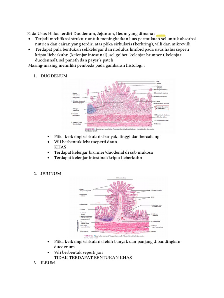 Lo Blok 10 Sken 1.2 1 | PDF