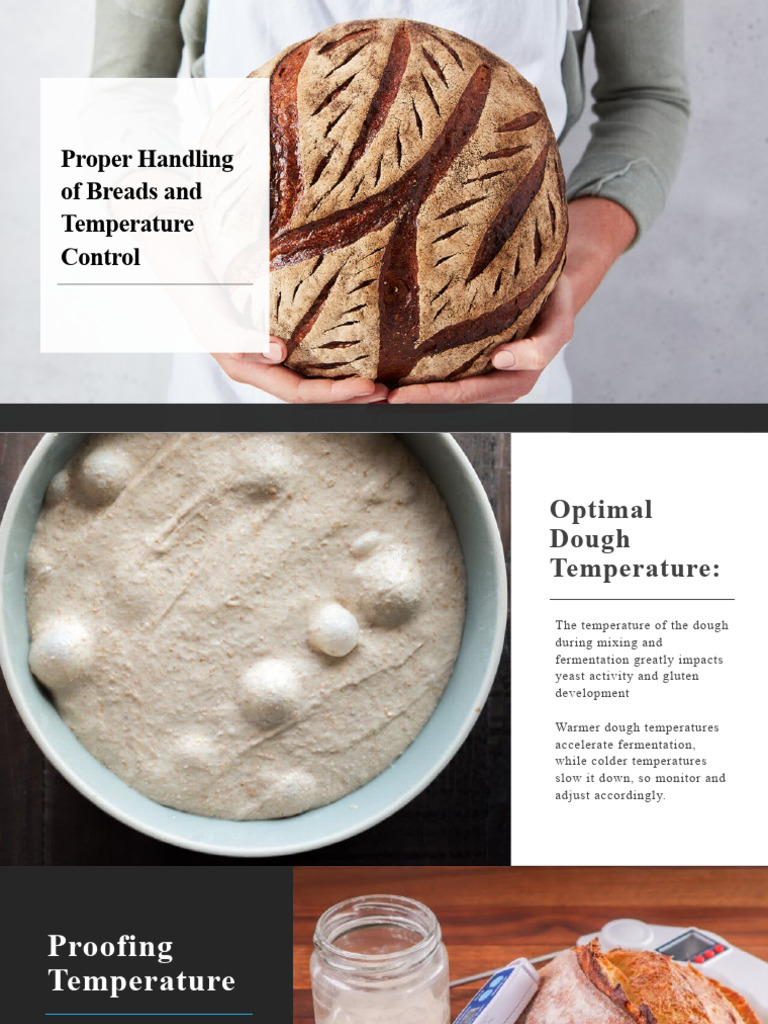 Bread Baking: Temperature & Techniques | PDF | Breads | Dough