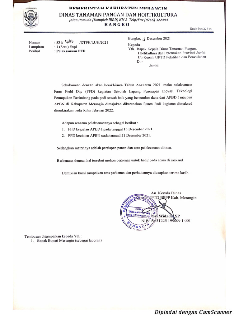 Pelaksanaan FFD | PDF