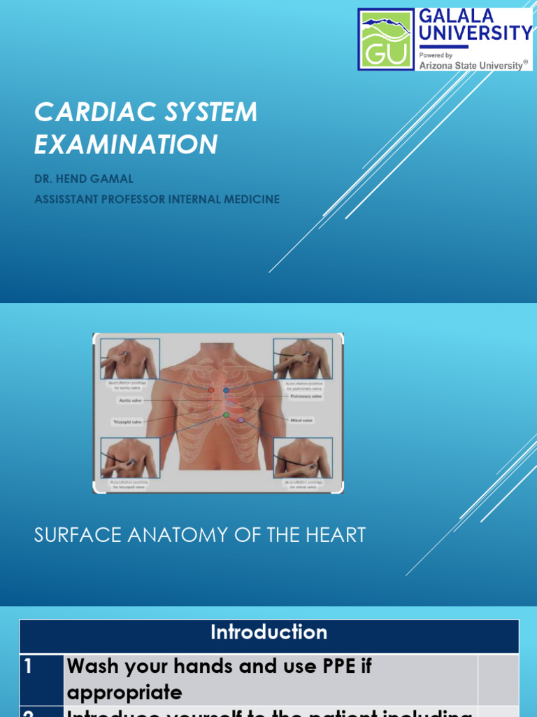 Cardiac Examination | PDF | Heart | Lung