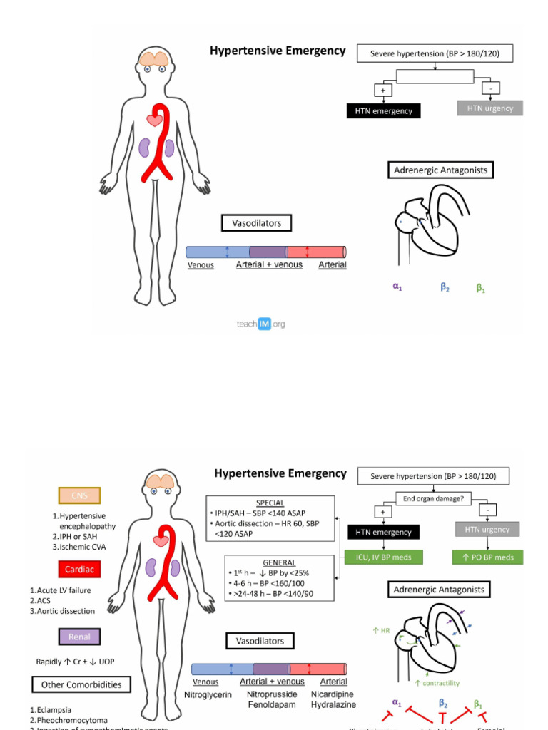 Hypertensive Emergency Learner Handout | PDF