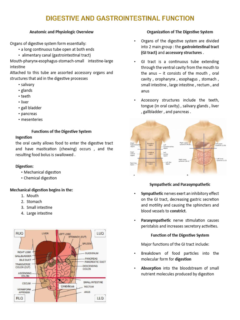 Med Surg Gastro | PDF | Digestion | Human Digestive System