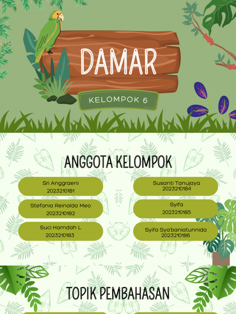 Farmakognosi Kelompok 6 - DAMAR | PDF