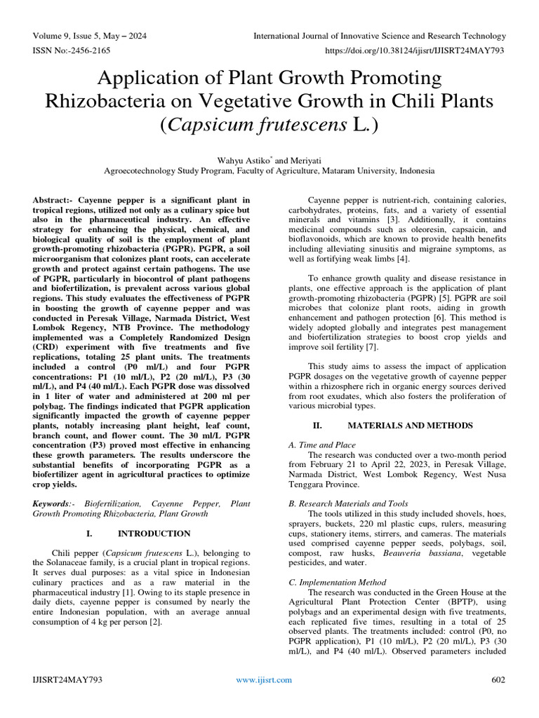 PGPR Effects on Chili Plant Growth | PDF | Plant Hormone | Chili Pepper