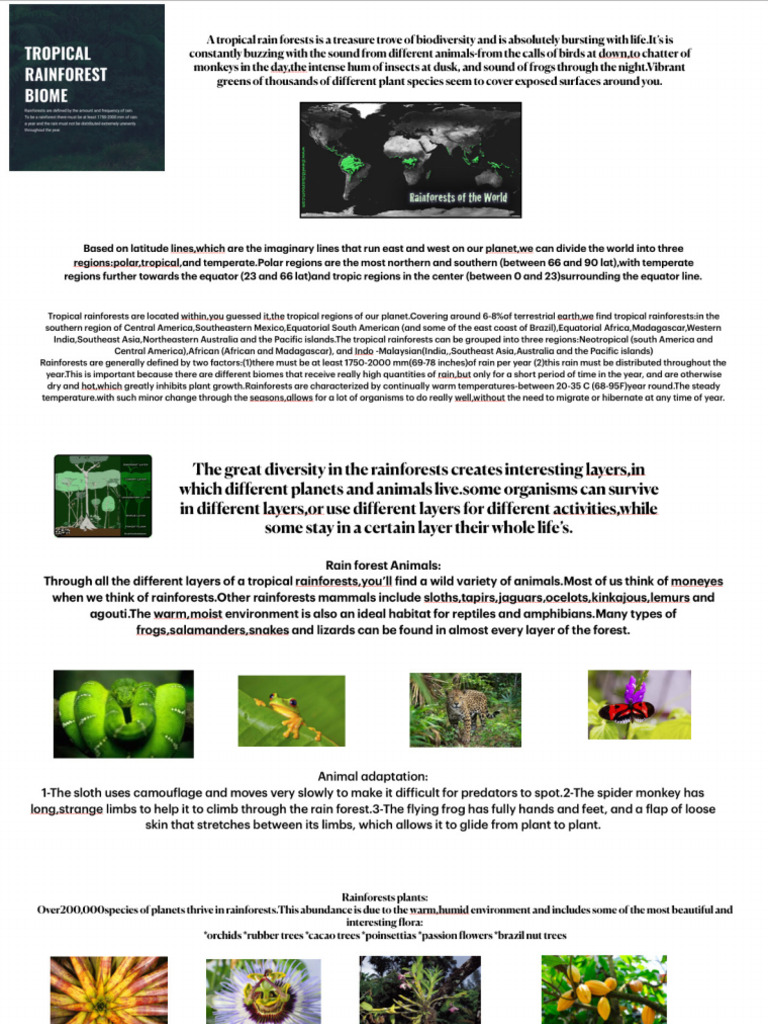 CCA70840-CF7A-469C-8726-DE0CD6C5B499 | PDF