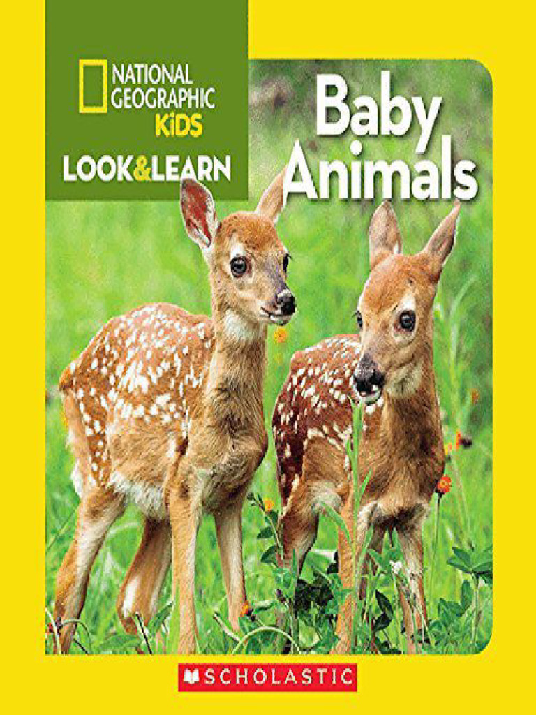 National Geographic Kids Look _ Learn Baby Animals | PDF