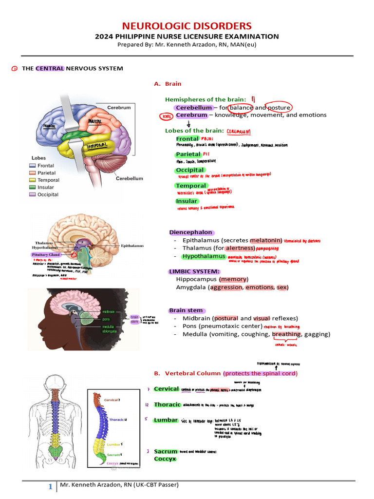 Medical Surgical Notes | PDF | Blood Pressure | Nervous System