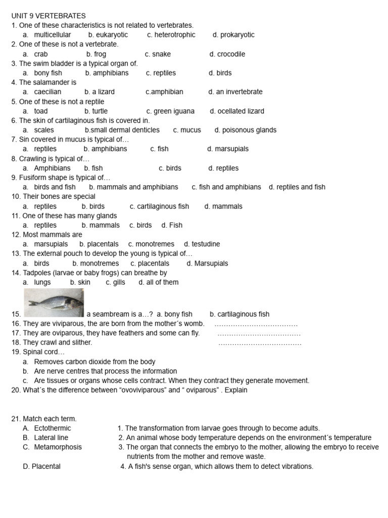 Unit 9 Vertebrates Test | PDF | Amphibian | Vertebral Column