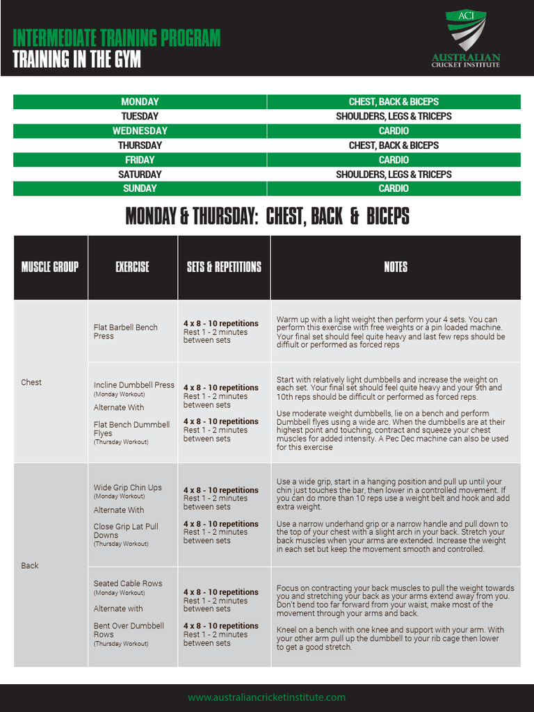 ACI Intermediate Training in The Gym | PDF | Strength Training | Weight Training