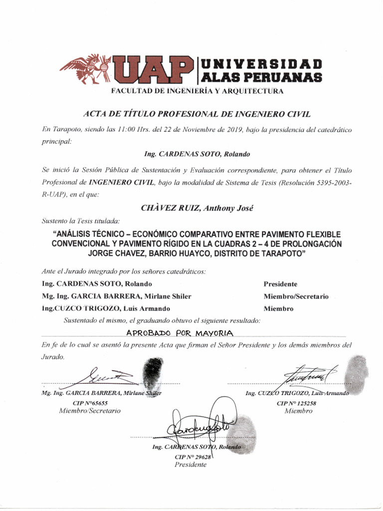 Acta de Titulo Profesional | PDF