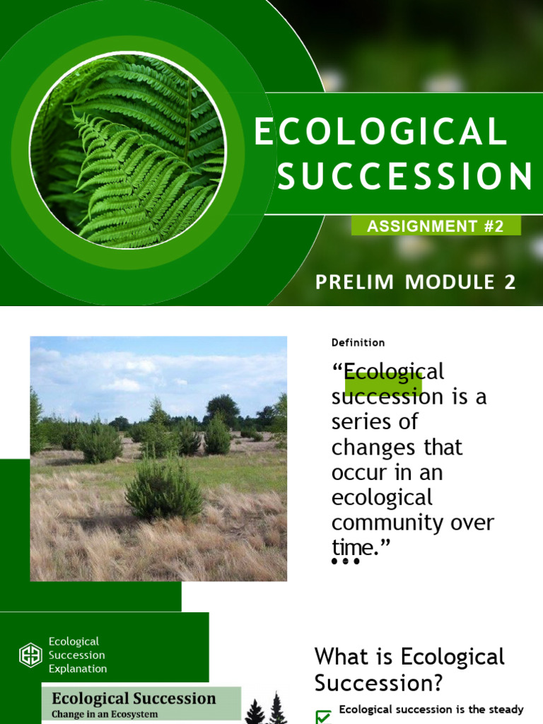 Ecological Succession 2 | PDF | Ecology | Ecosystem