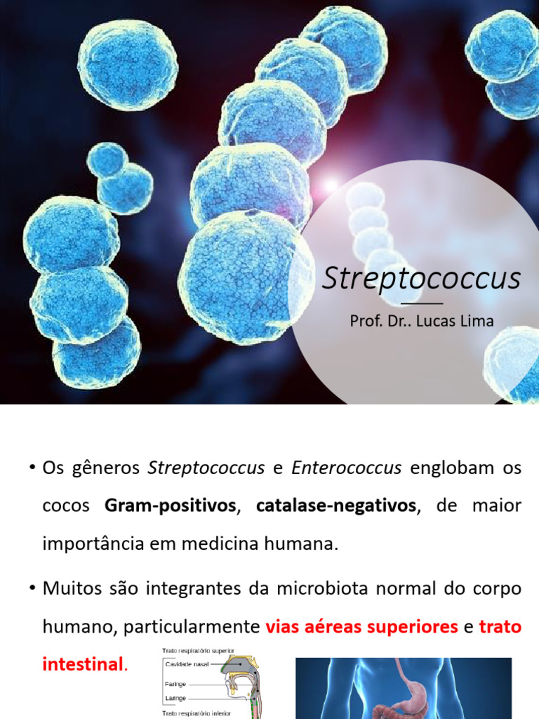 Aula 3 - Streptococcus - Blactâmicos e Aminoglicosídeos | Download grátis PDF | Estreptococos ...