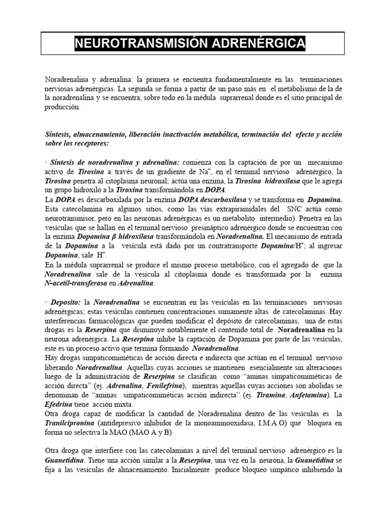 Neurotransmisión Adrenérgica | PDF | Norepinefrina | Dopamina