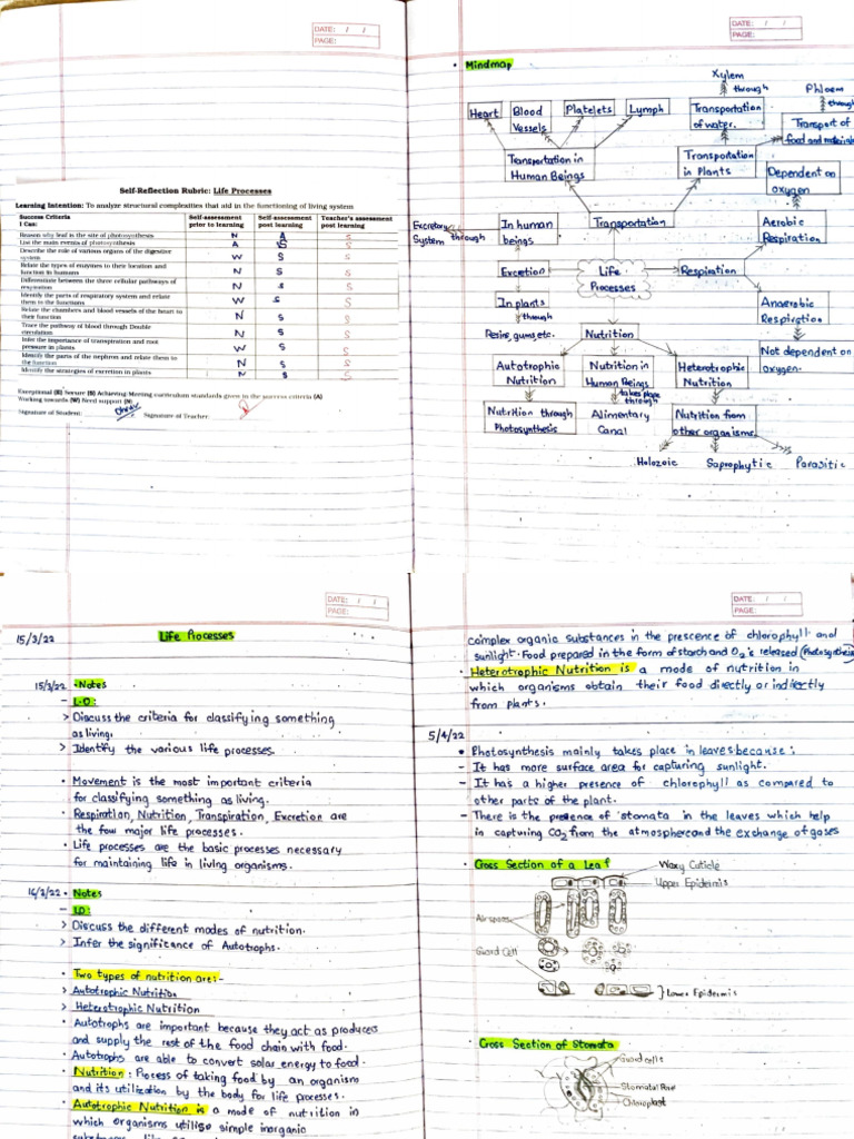 Biology 1 and 2 Chapters | PDF