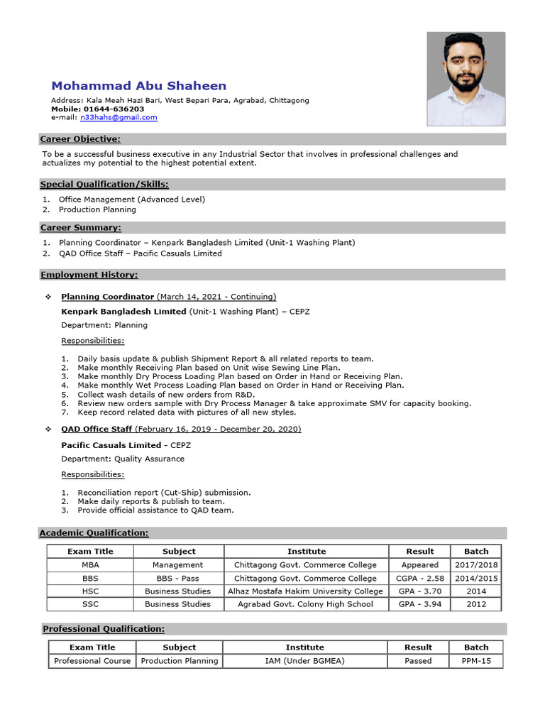 CV - Mohammad Abu Shaheen | PDF