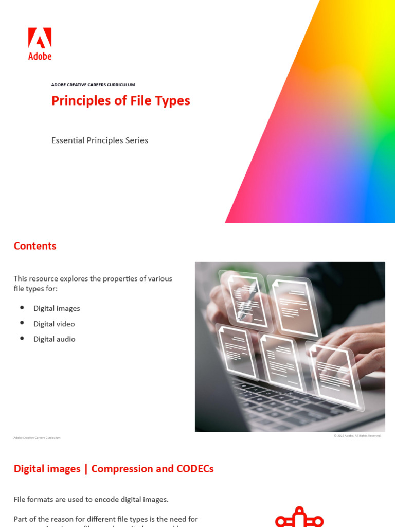 Principles of File Types | PDF | Data Compression | Codec