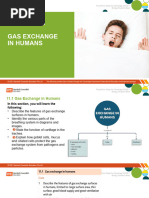 AHA ACLS Megacode Scenarios | PDF | Cardiopulmonary Resuscitation ...