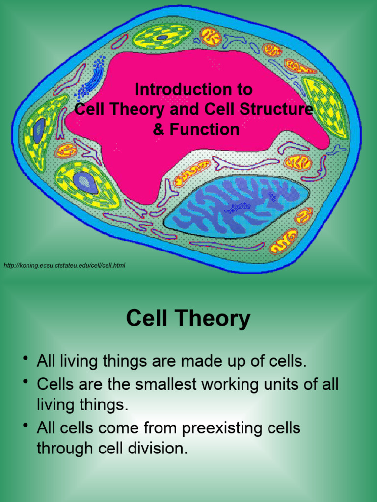 Overview of Cell Theory and Structure | PDF | Cell (Biology) | Cell Nucleus