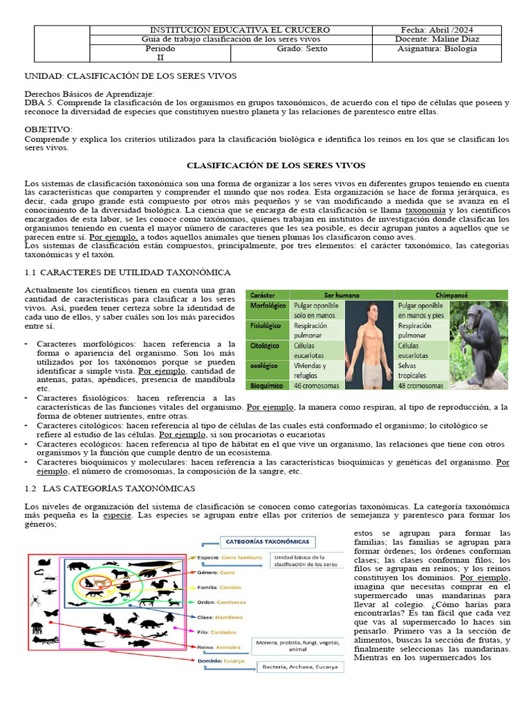 Clasificacion Seres Vivos Sexto | PDF | Taxonomía (biología) | Organismos