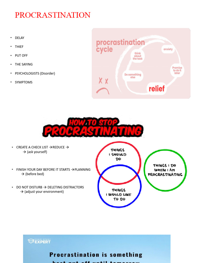 Procrastination | PDF
