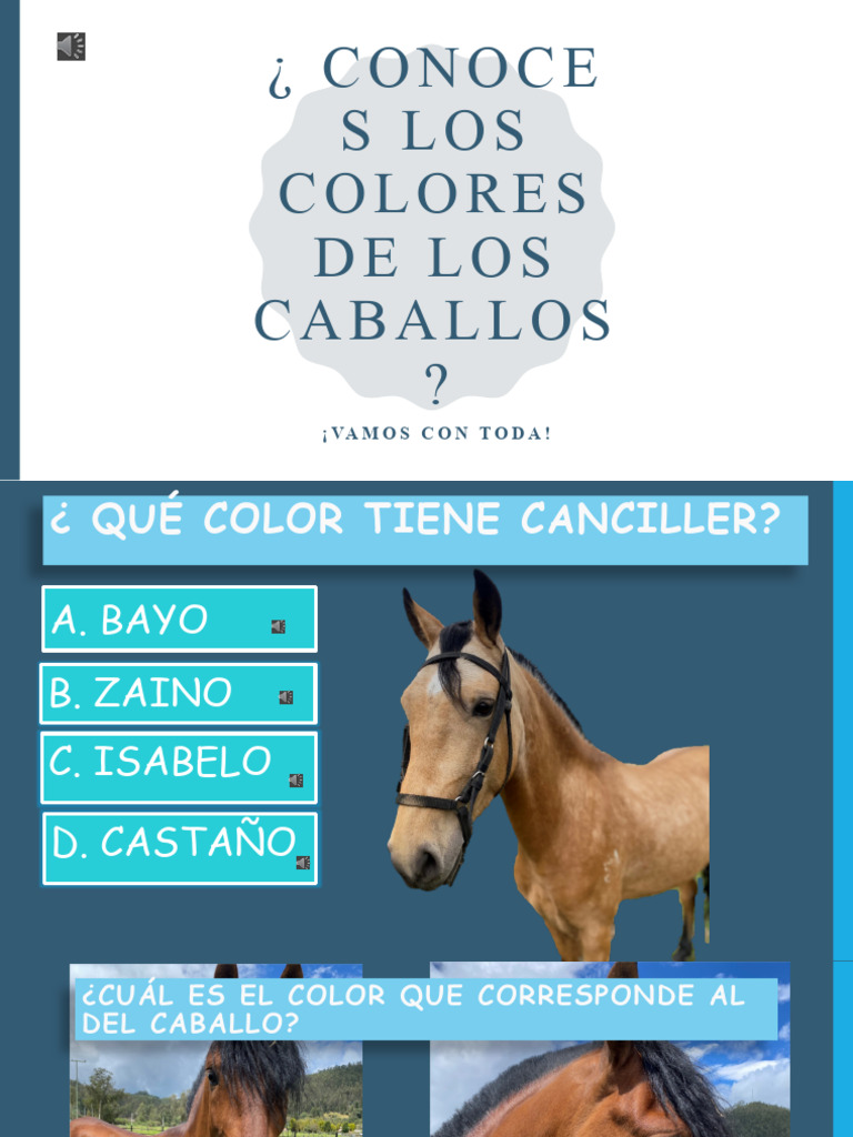 Colores de Caballos | PDF