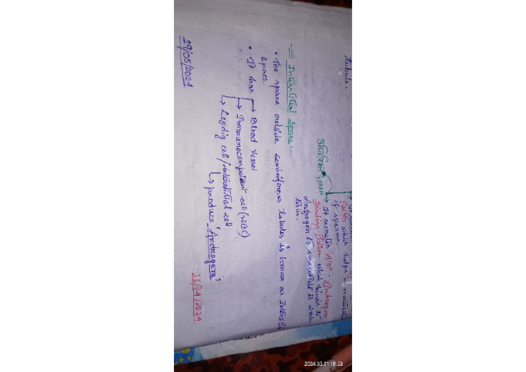 Interstitial Space | PDF