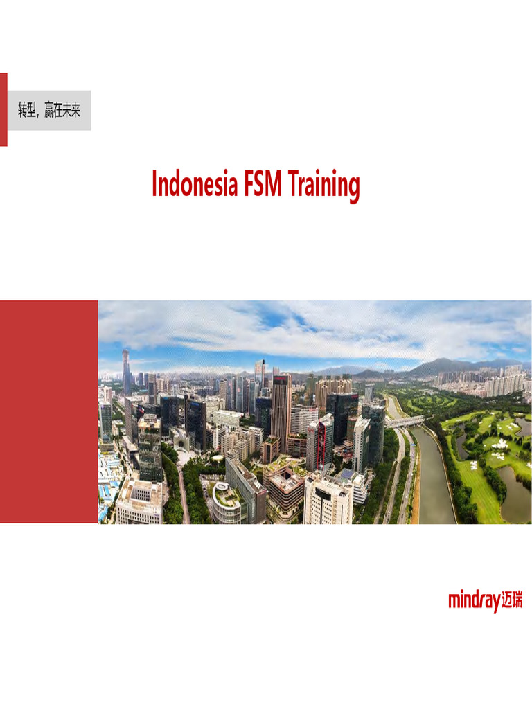 02 - FSM User Manual-MRID | PDF | Microsoft Windows | Mobile App