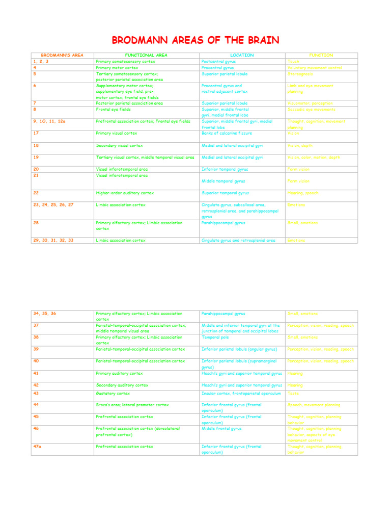 Brodmann Areas of The Brain | PDF | Frontal Lobe | Cerebral Cortex