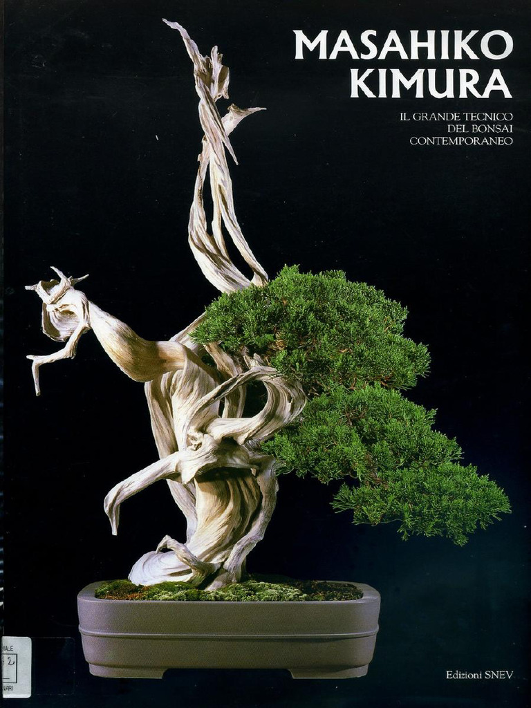Masahiko Kimura | PDF